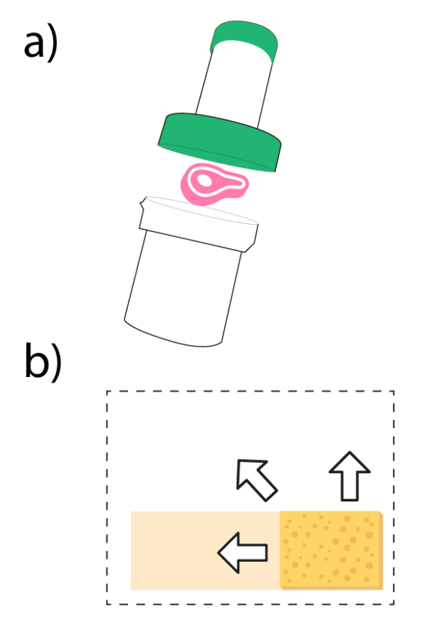 The analysis of Listeria easy and safe | Microlab Listeria monocytogenes