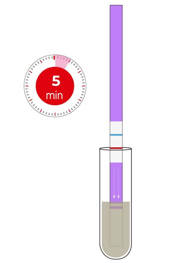 GMP kit you can easily to detect the presence of GMP in cow milk
